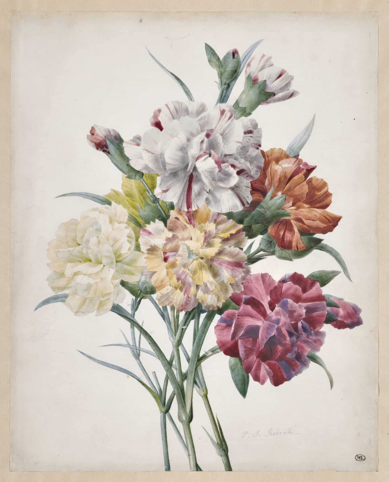 Private Tour: "Through the botanist's eye" with botanist Marc Jeanson ...